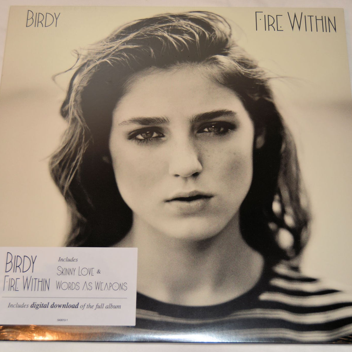 birdy fire within