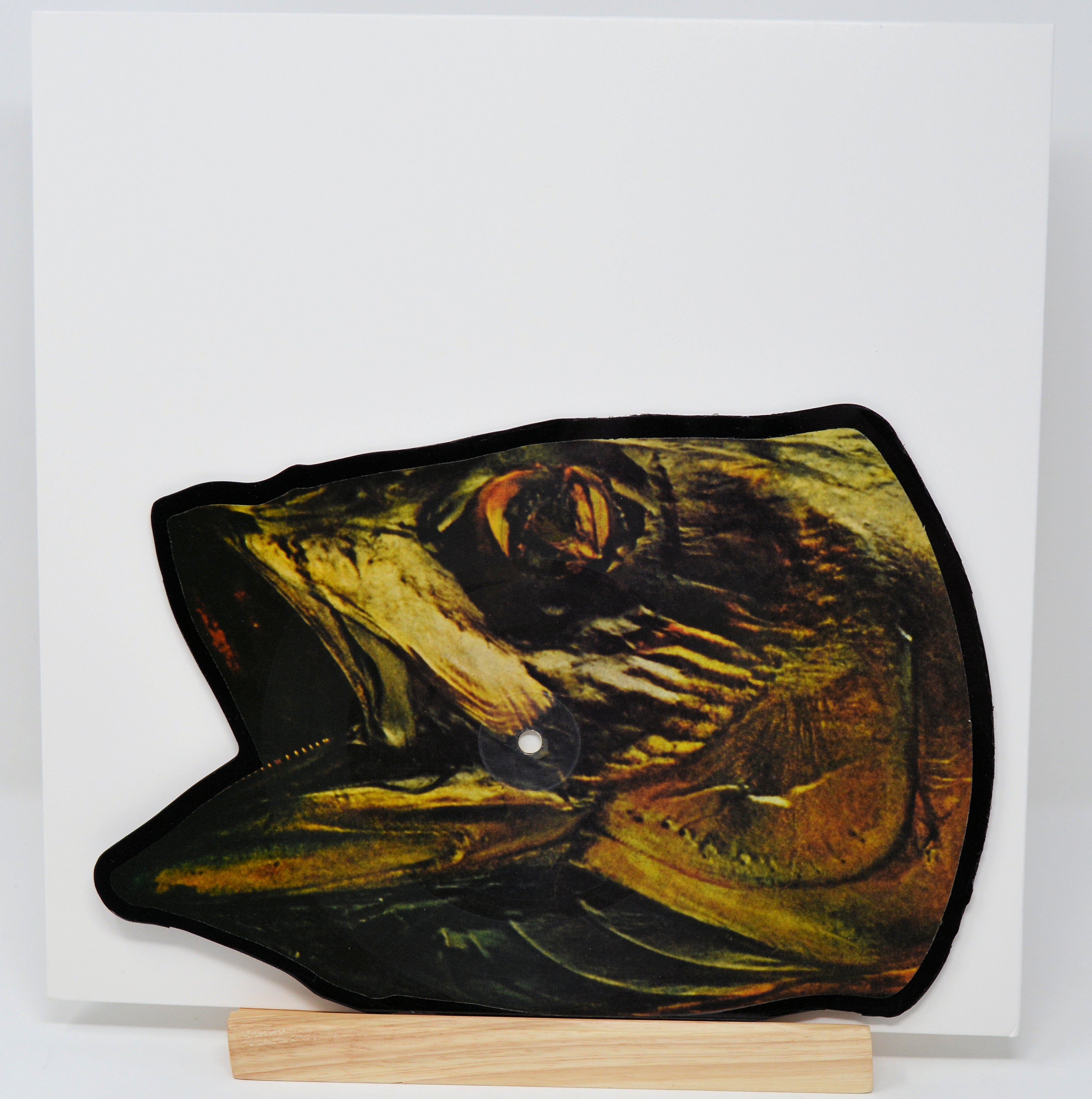 Barnes & Barnes - Fish Heads, Vinyl Record, Die Cut – Joe's Albums