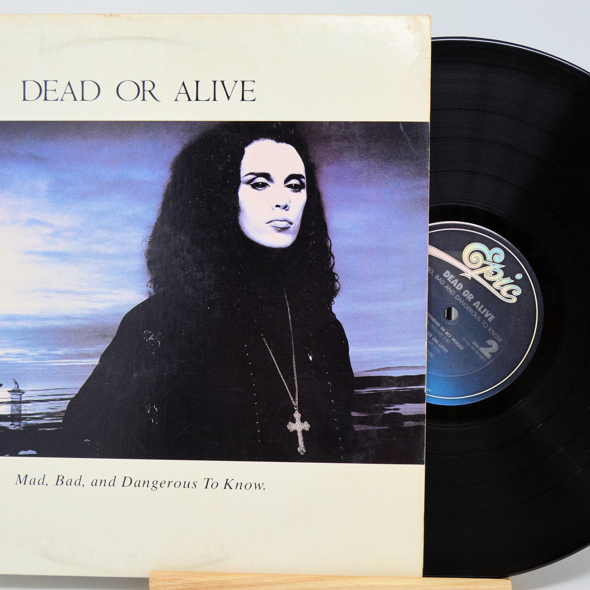 Dead Or Alive - Mad, Bad And Dangerous To Know, Vinyl Record Album LP ...