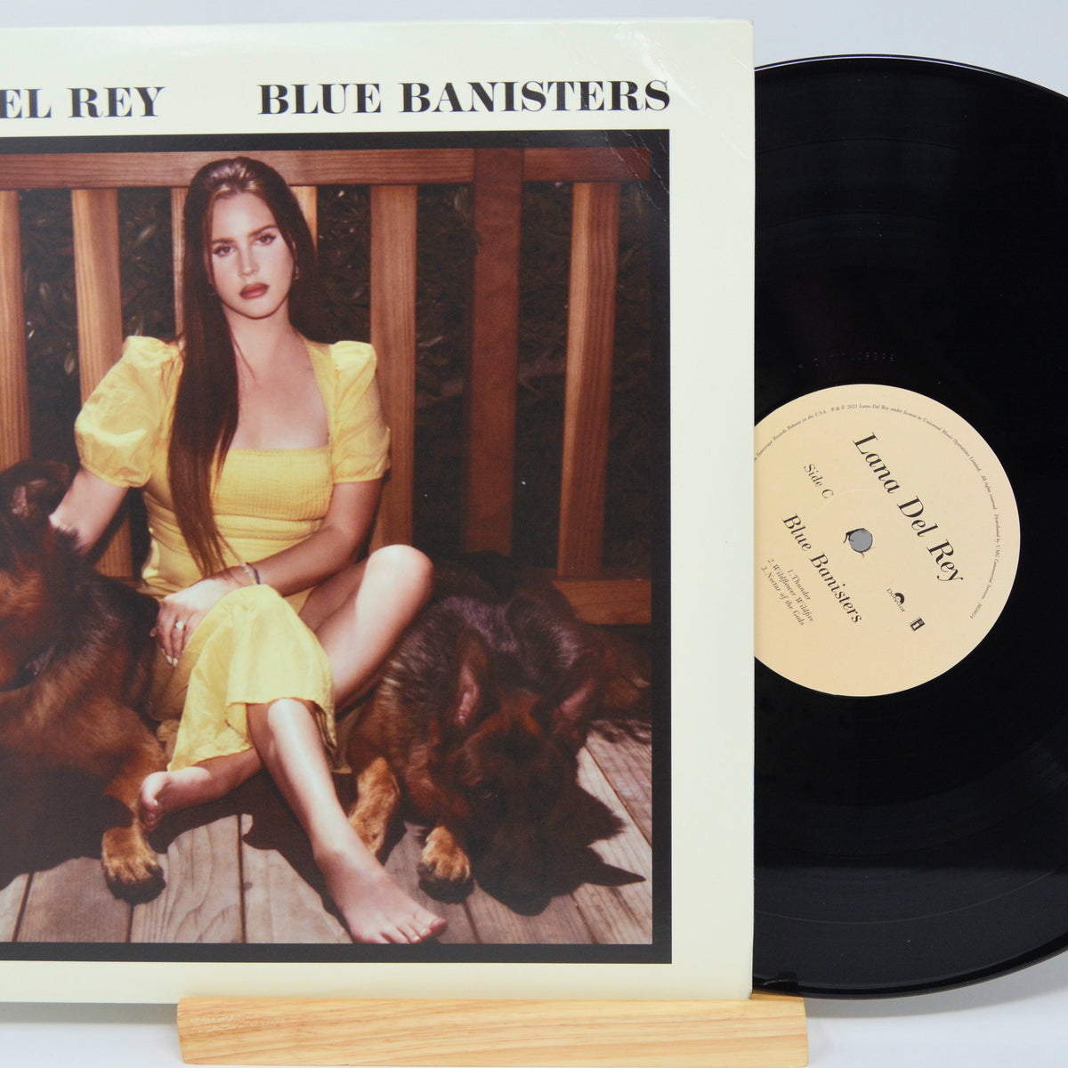 Del Rey, Lana - Blue Banisters, Vinyl Record Album LP, Used – Joe's Albums
