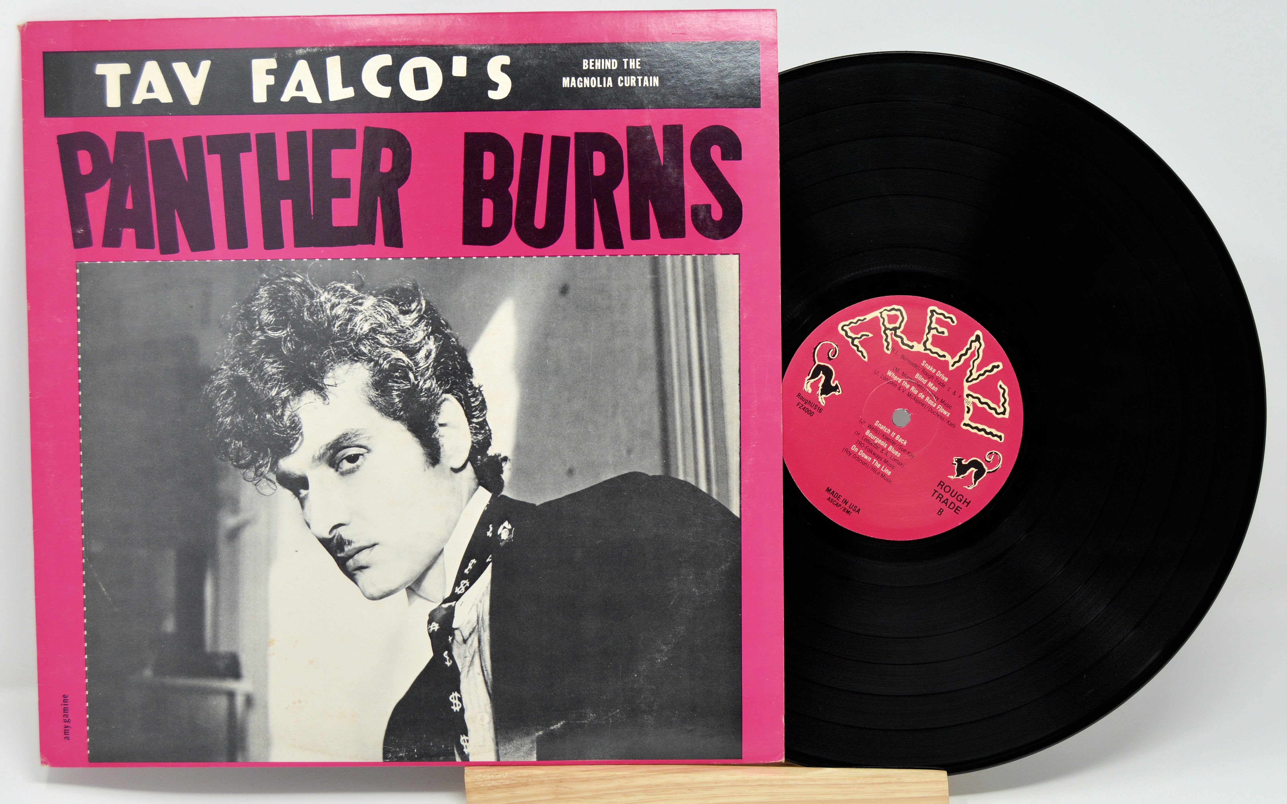 Tav Falco's Panther Burns - Behind The Magnolia Curtain, Vinyl Record ...