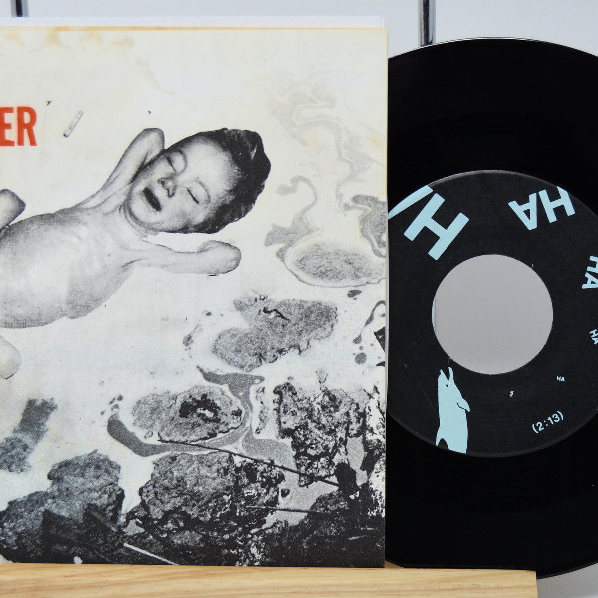 Flipper - Love Canal, 7 Inch Vinyl Record, 1981 Pressing – Joe's Albums