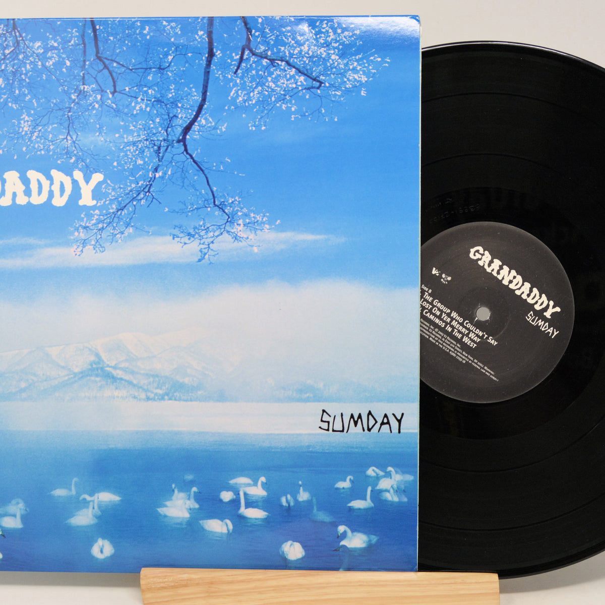 Grandaddy - Sumday, Vinyl Record Album LP – Joe's Albums