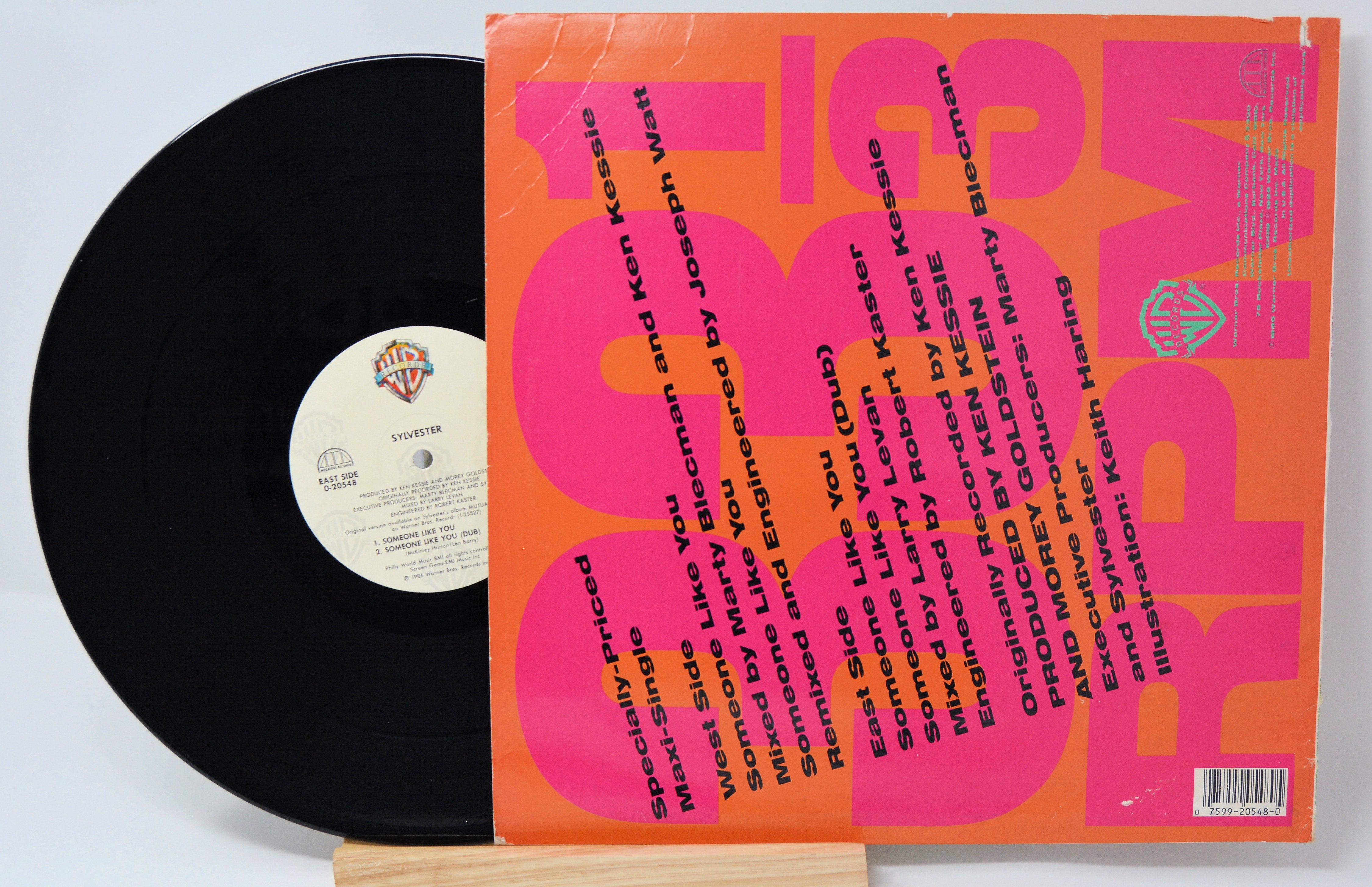 Sylvester - Someone Like You, Vinyl Record, Keith Haring – Joe's Albums