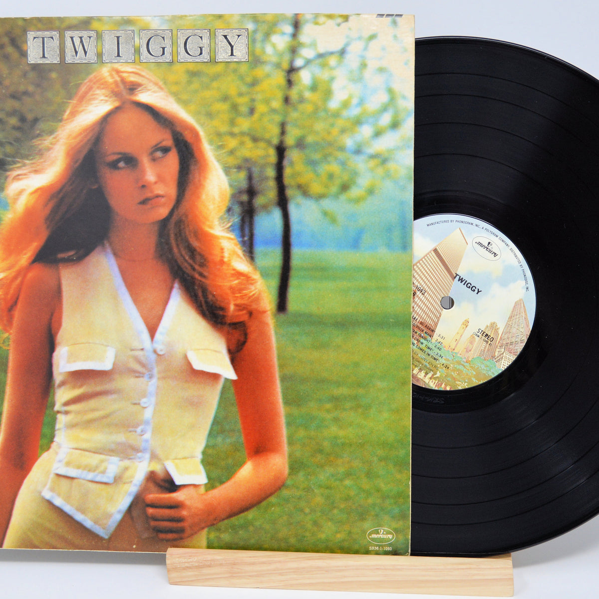 Twiggy - Self Titled, Vinyl Record Album LP, Mercury SRM-1-1093 – Joe's ...