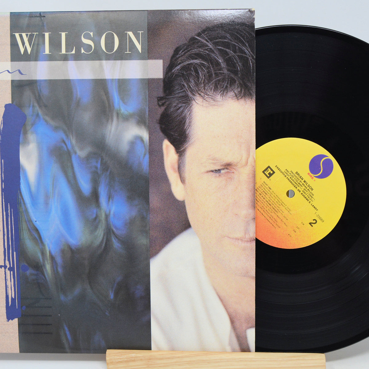 Brian Wilson - Self Titled, Vinyl Record Album LP – Joe's Albums