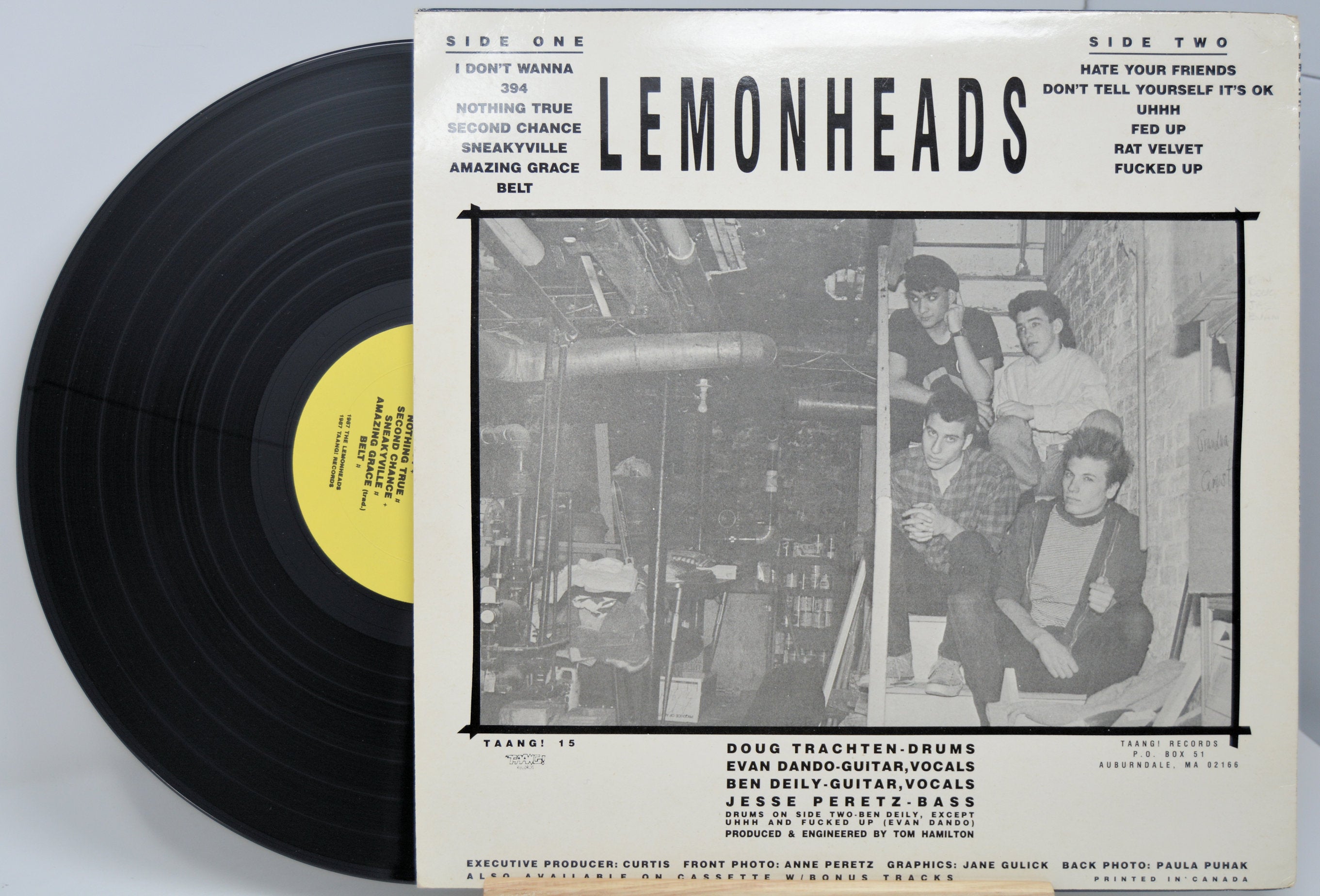Lemonheads - Hate Your Friends, Vinyl Record Album LP, Taang! 15 – Joe ...