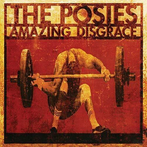 Posies - Amazing Disgrace – Joe's Albums