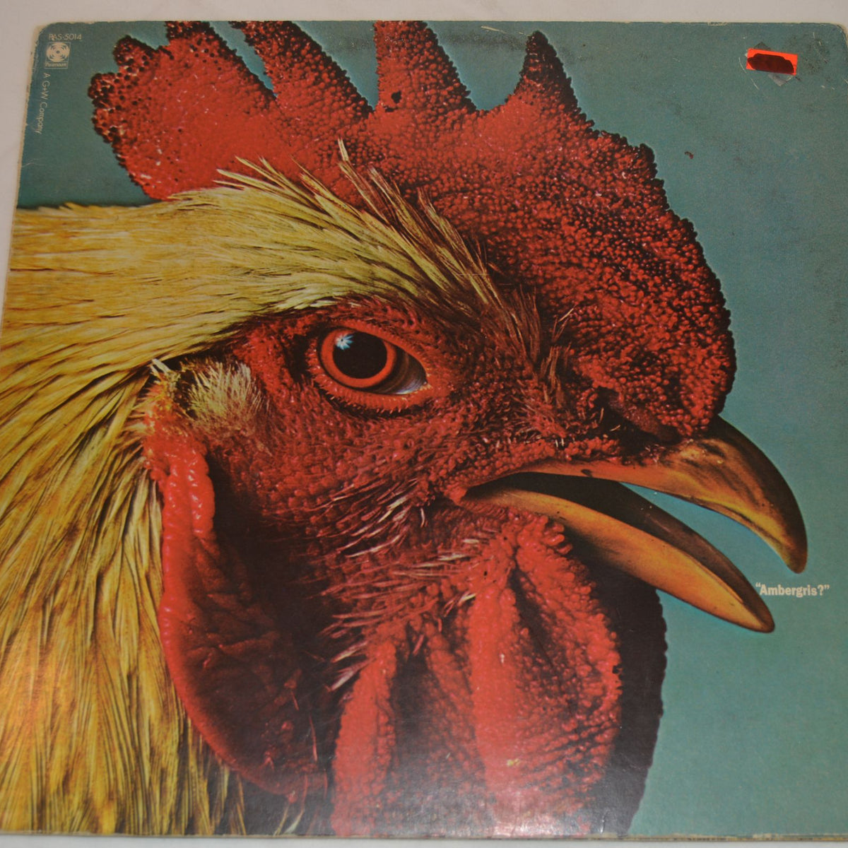 Ambergris - Self Titled, Vinyl Record Album LP – Joe's Albums