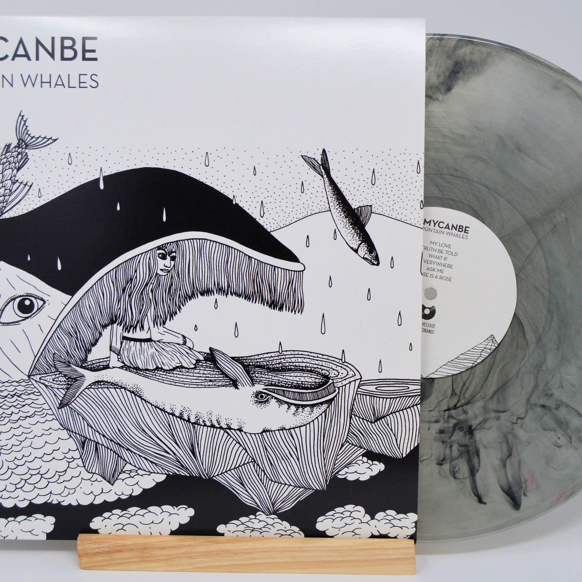 Amycanbe ‎– Mountain Whales, Vinyl Record Album LP, Feedbands – Joe's ...