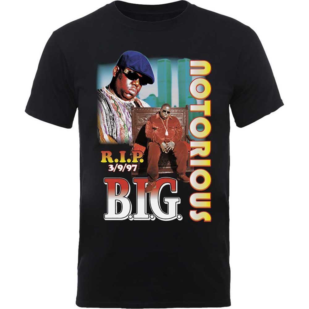 Notorious BIG - RIP Collage (S) – Joe's Albums