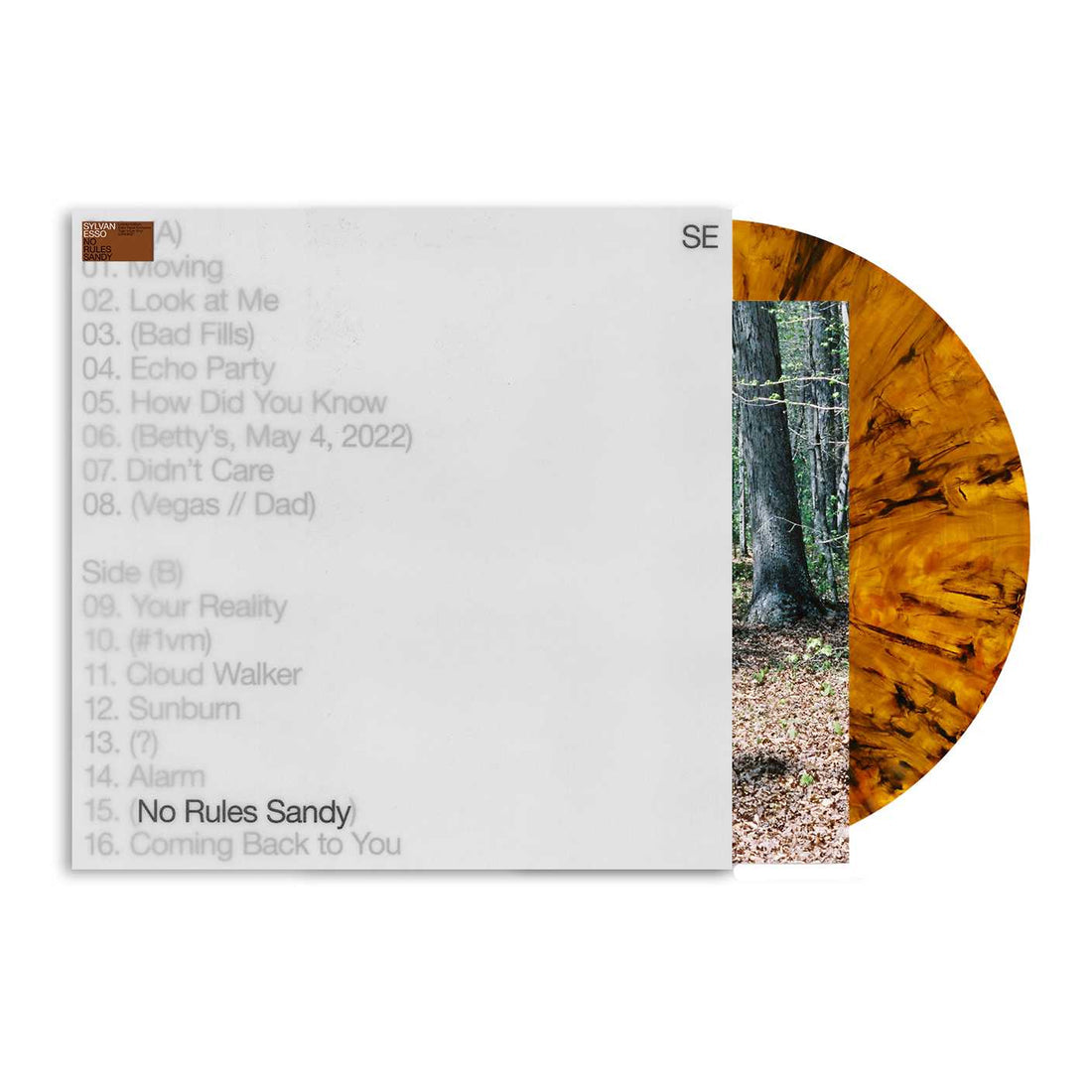 Sylvan Esso - No Rules Sandy, Vinyl Record Album LP, New – Joe's Albums