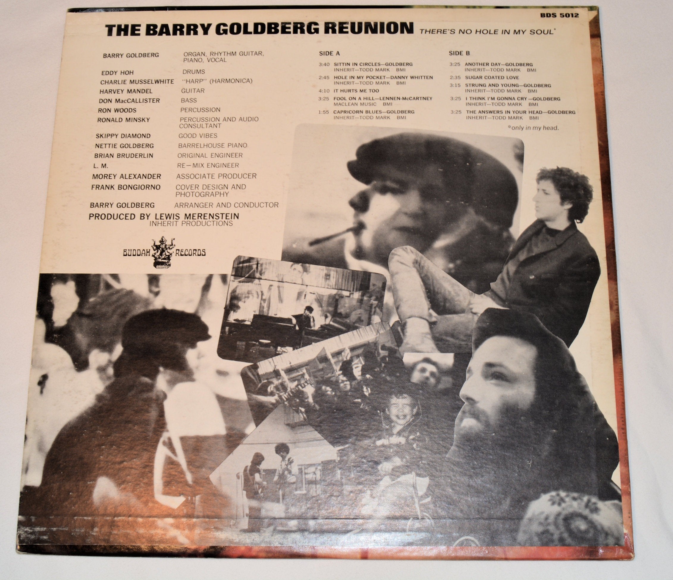 Goldberg, Barry - Barry Goldberg Reunion – Joe's Albums