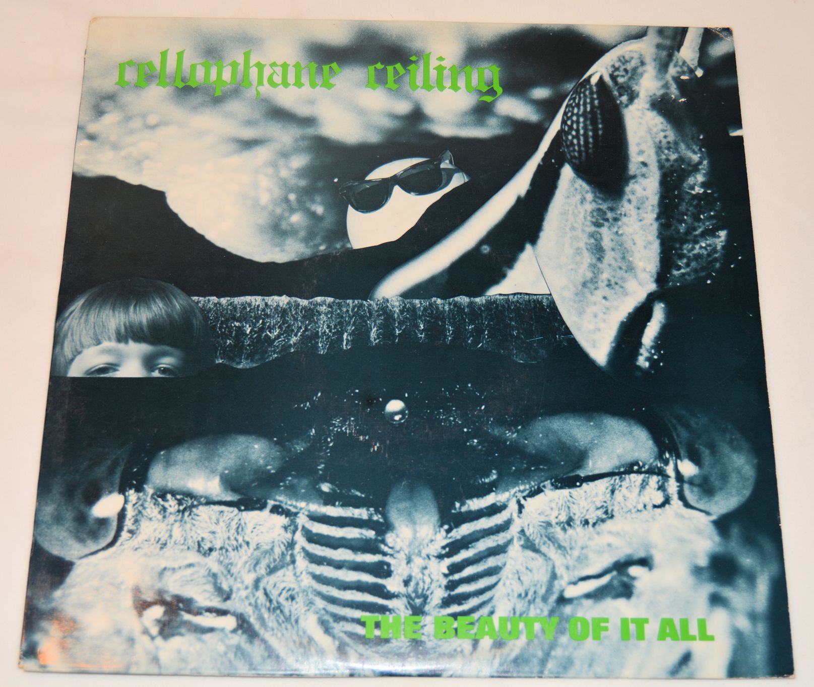 Cellophane Ceiling - The Beauty Of It All – Joe's Albums