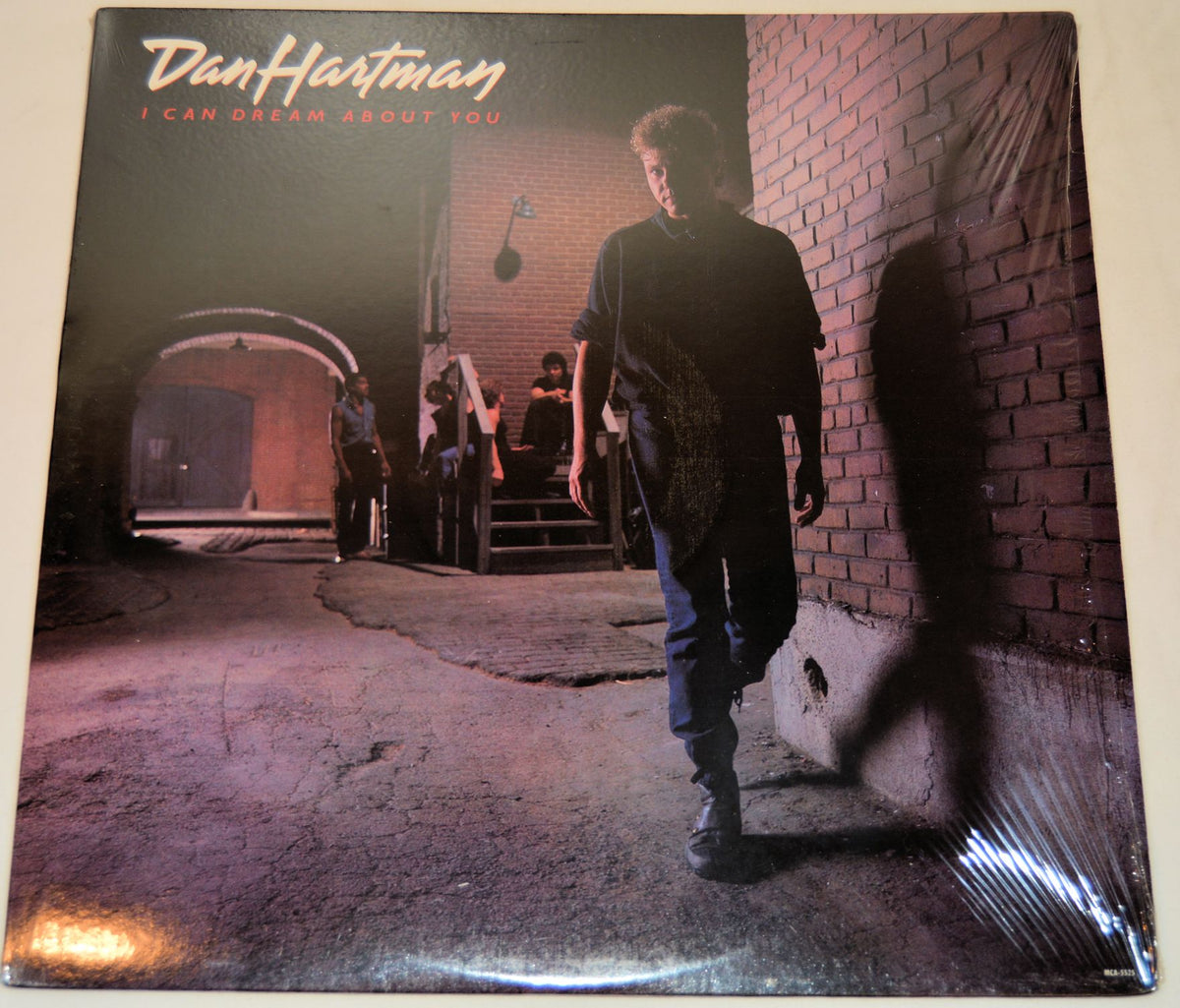 Hartman, Dan - I Can Dream About You, Vinyl Record Album LP – Joe's Albums