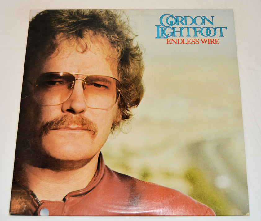 Gordon Lightfoot - Endless Wire, Vinyl Record Album LP – Joe's Albums