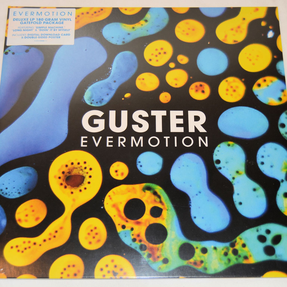 Guster - Evermotion – Joe's Albums