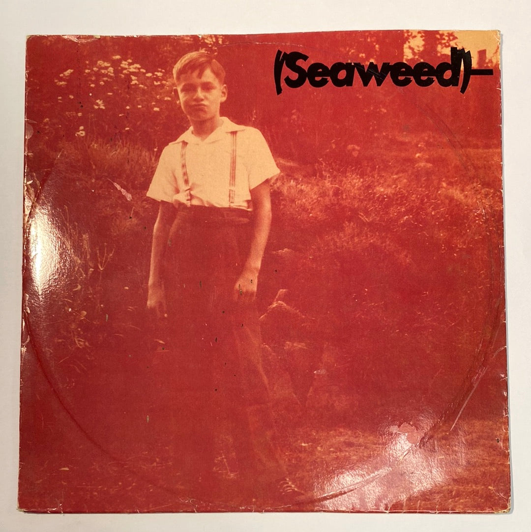 Seaweed ‎– Bill, Vinyl Record, 7 Inch, 45 RPM, Colored – Joe's Albums