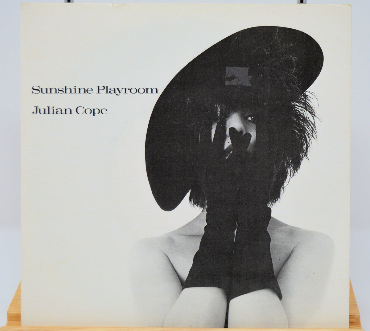 Julian Cope – Sunshine Playroom / Hey High Class Butcher, Vinyl 7 Inch ...
