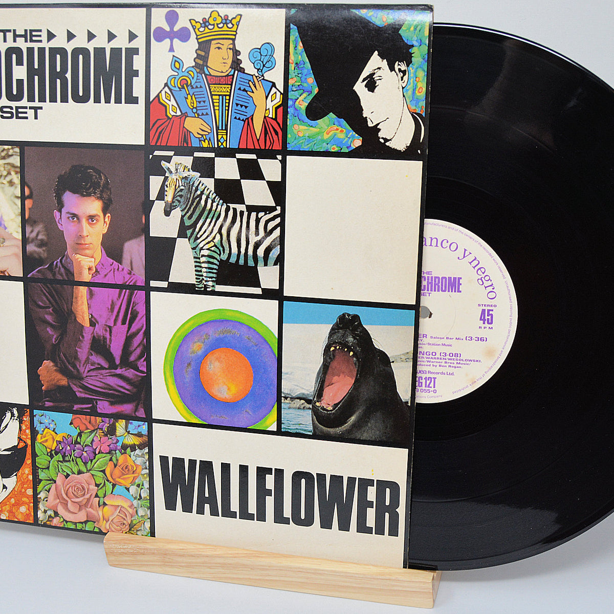 Monochrome Set – Wallflower, Vinyl Record Album 12" – Joe's Albums