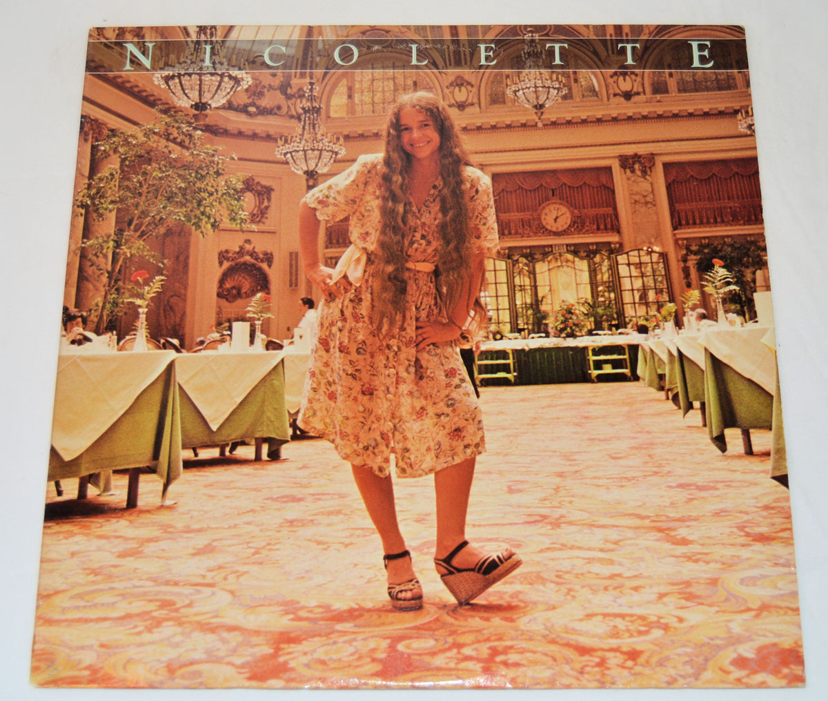 Larson, Nicolette - Nicolette, Vinyl Record Album LP, Lotta Love – Joe ...