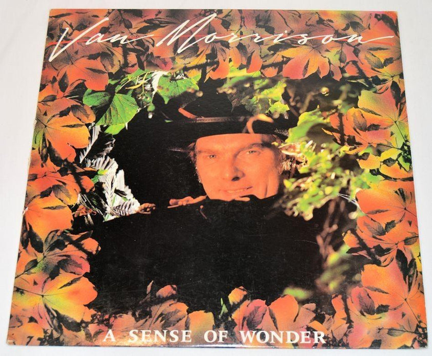 Morrison, Van - A Sense Of Wonder, Vinyl Record Album LP – Joe's Albums