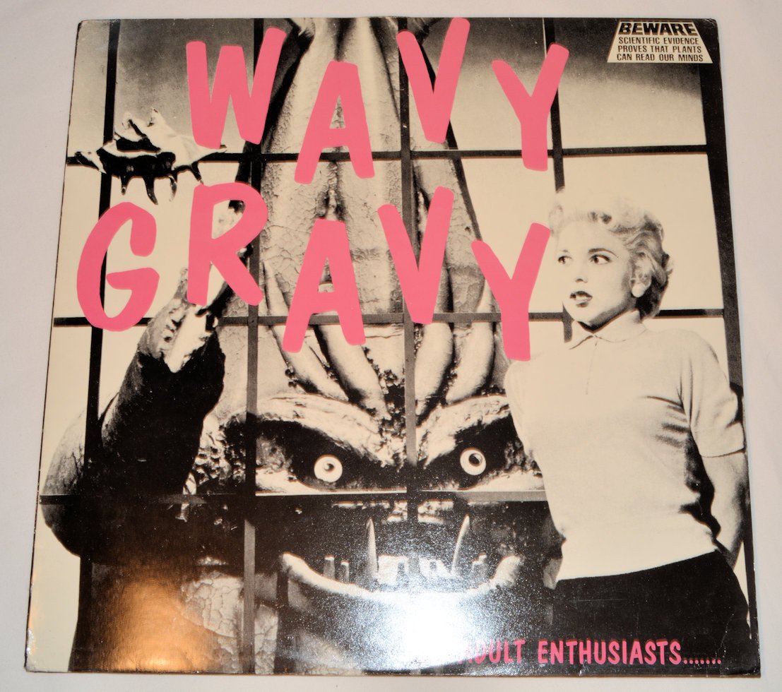Various - Wavy Gravy – Joe's Albums