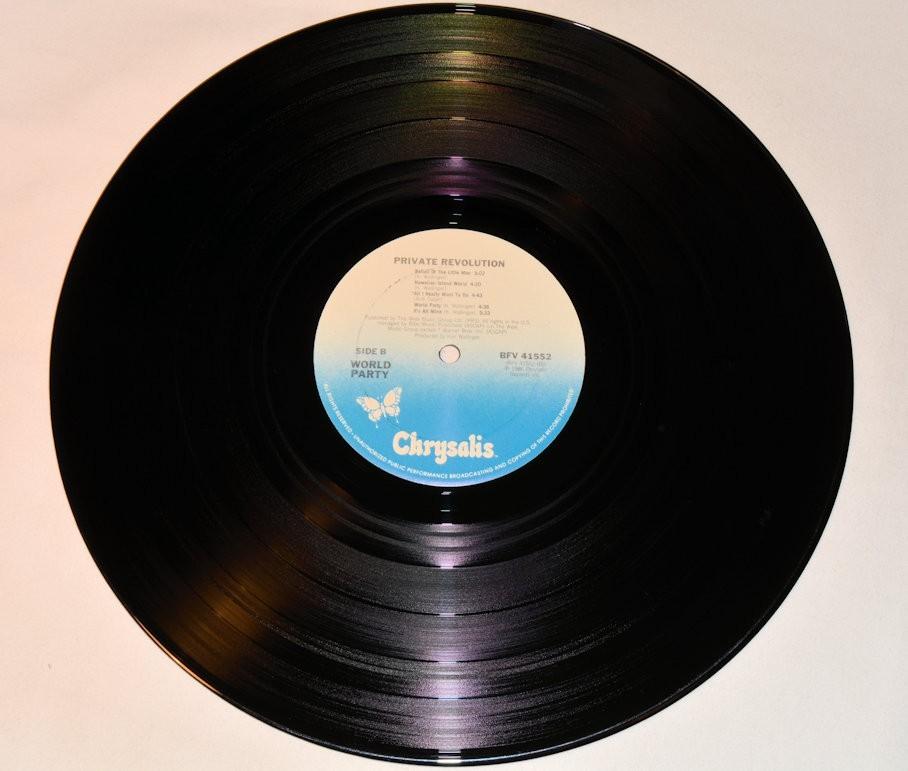 World Party - Private Revolution, Vinyl Record Album LP, Used – Joe's ...